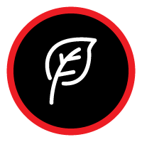 SENS | Product | SuperTorque 8Z